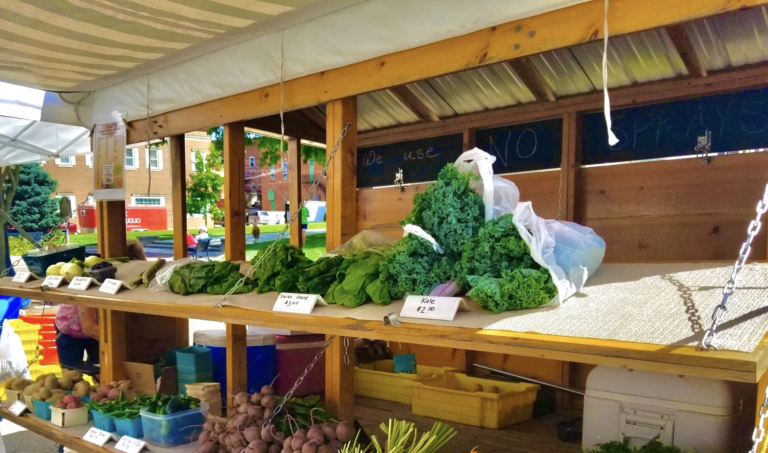 Market Vendors - Seneca County Common Ground